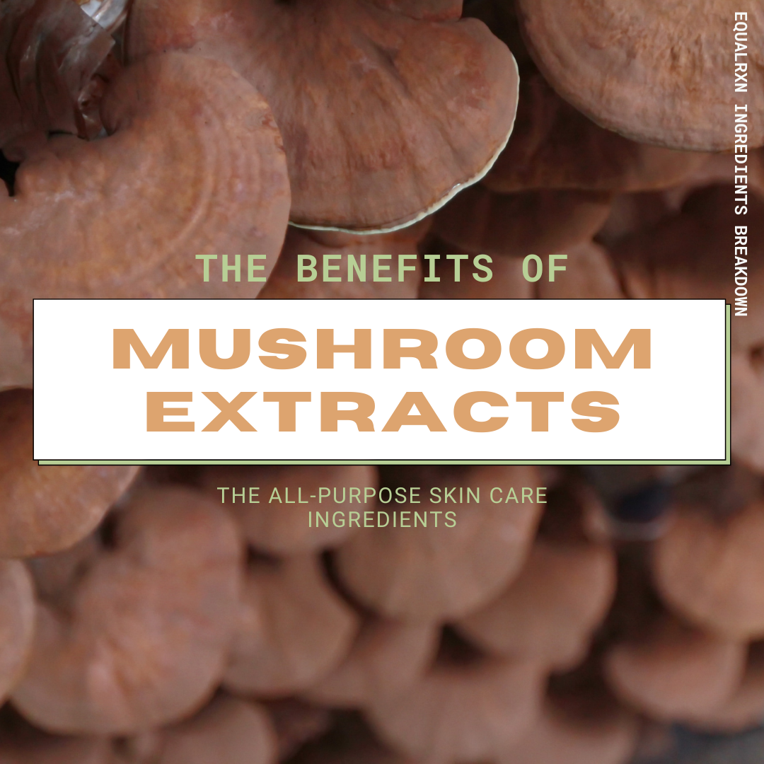The Story of Mushrooms: The Science Behind Mushrooms in Skincare – EqualRXN