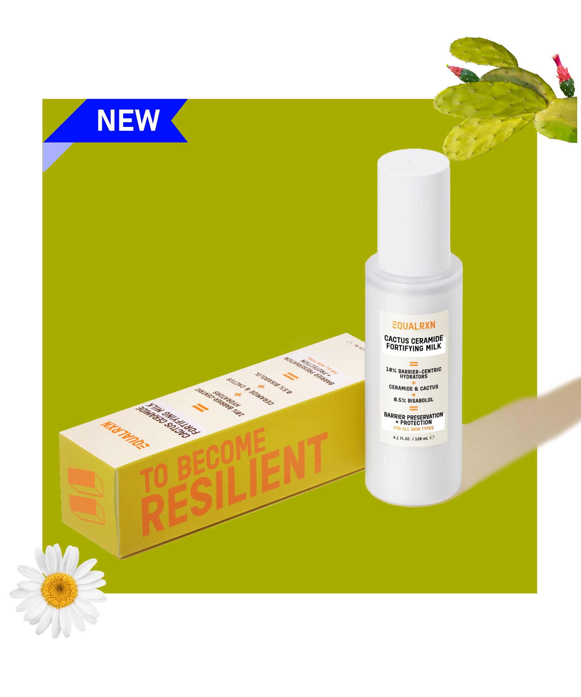 EqualRXN Skin - On a mission to re-establish skin equilibrium